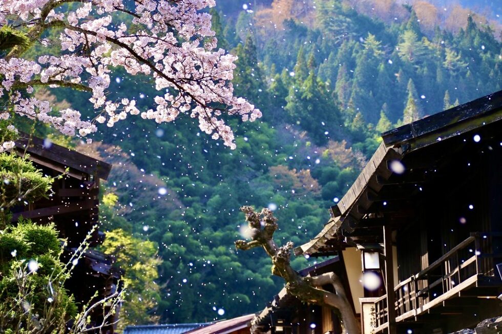 Luxe Reizen – NoBeach Exclusieve Reizen